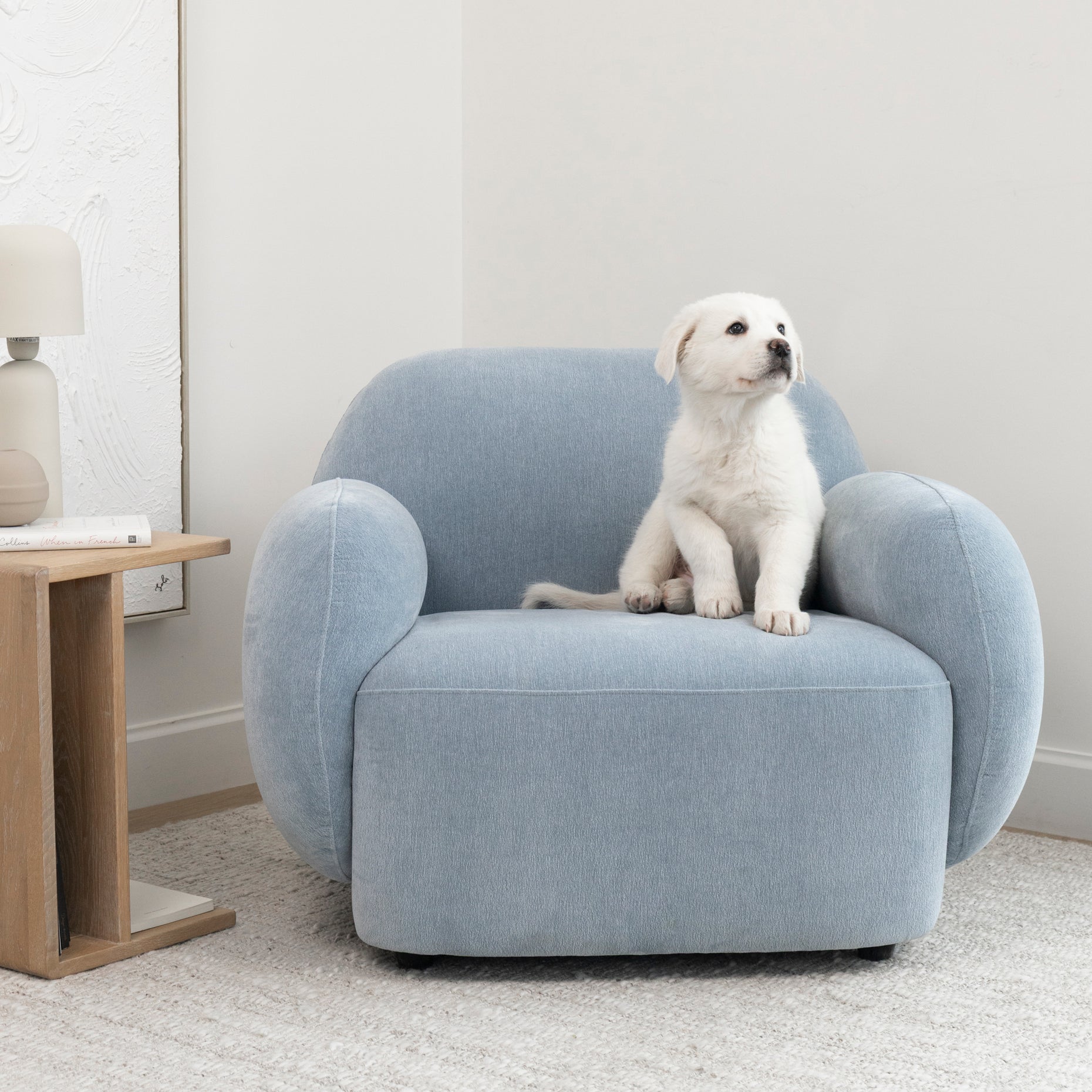 Fauteuils – LUSINE